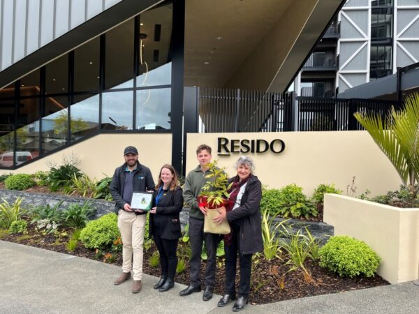 Resido project tree - Naylor Love, Commercial Construction